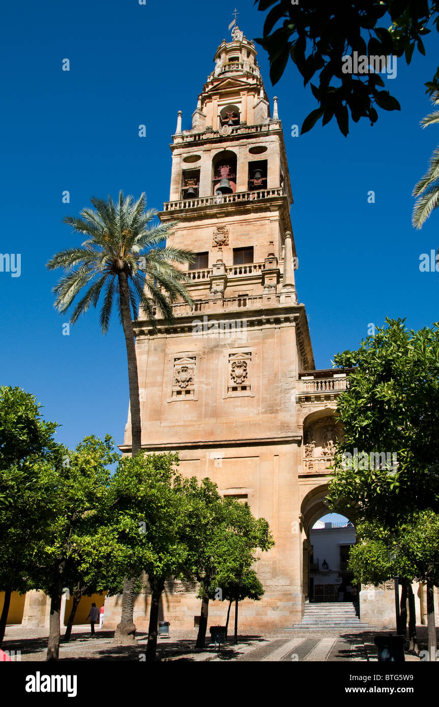 Mezquita Moorish Mosque Cathedral Catholic Cordoba Spain Spanish Stock ...