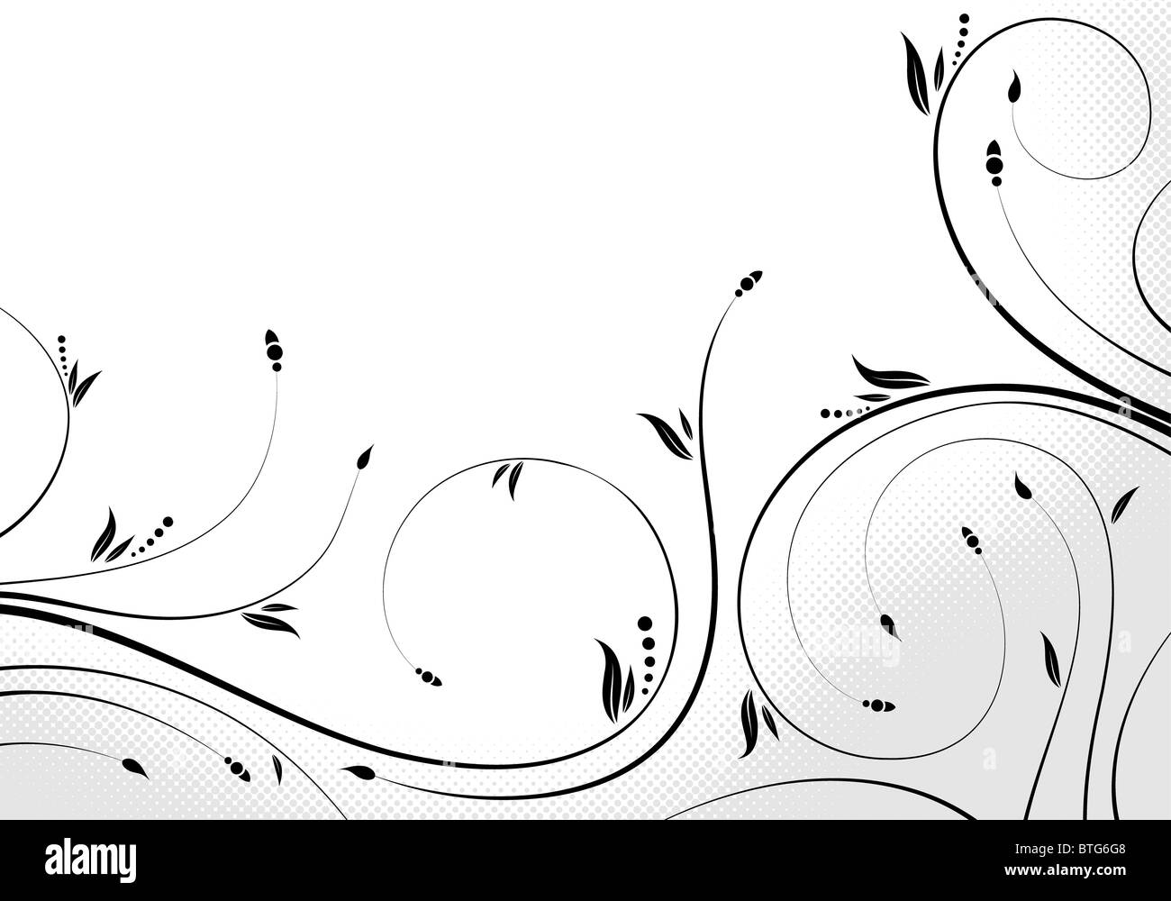 Floral scroll, element for design, vector illustration Stock Photo - Alamy
