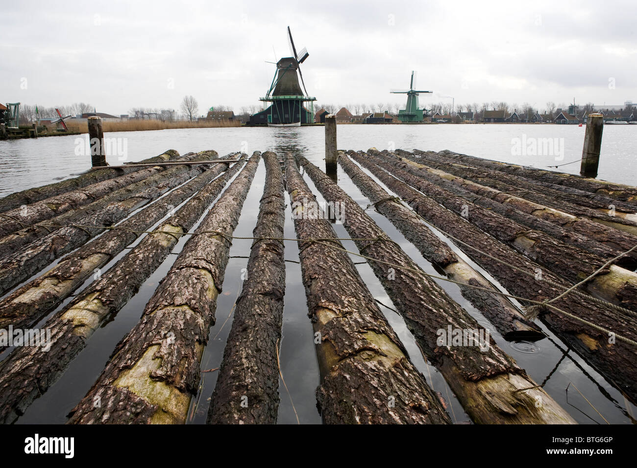 Trunks float in front of a windmill in Zaanse Schans Stock Photo - Alamy