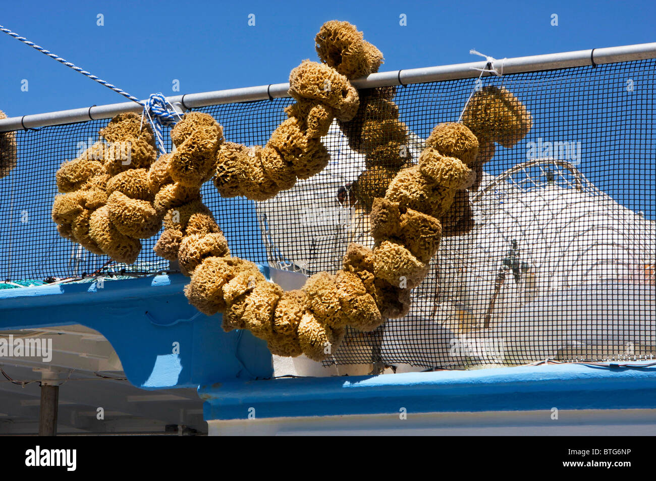 Sponge fishing hi-res stock photography and images - Alamy