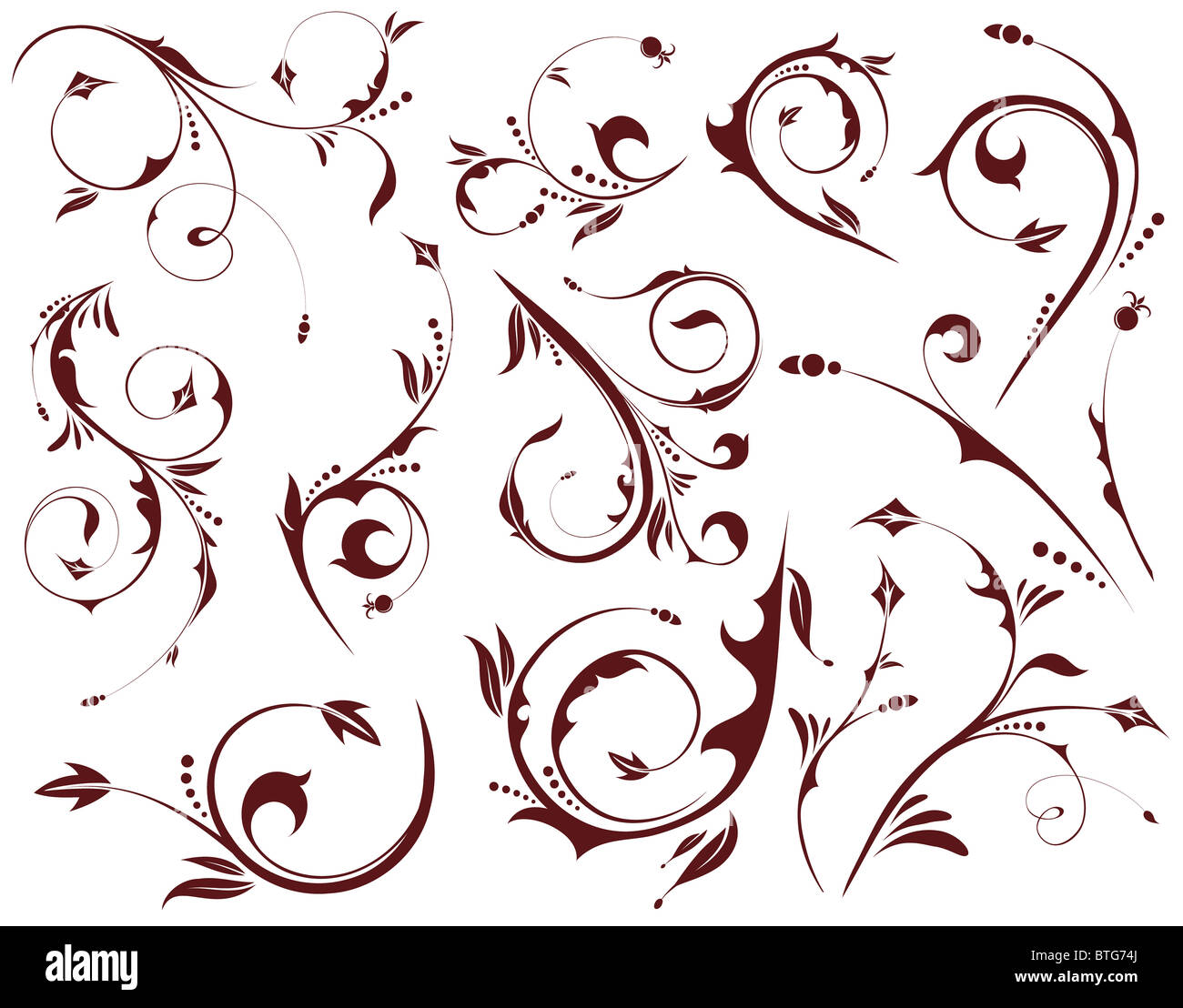 Collect Floral scroll, element for design, vector illustration Stock ...