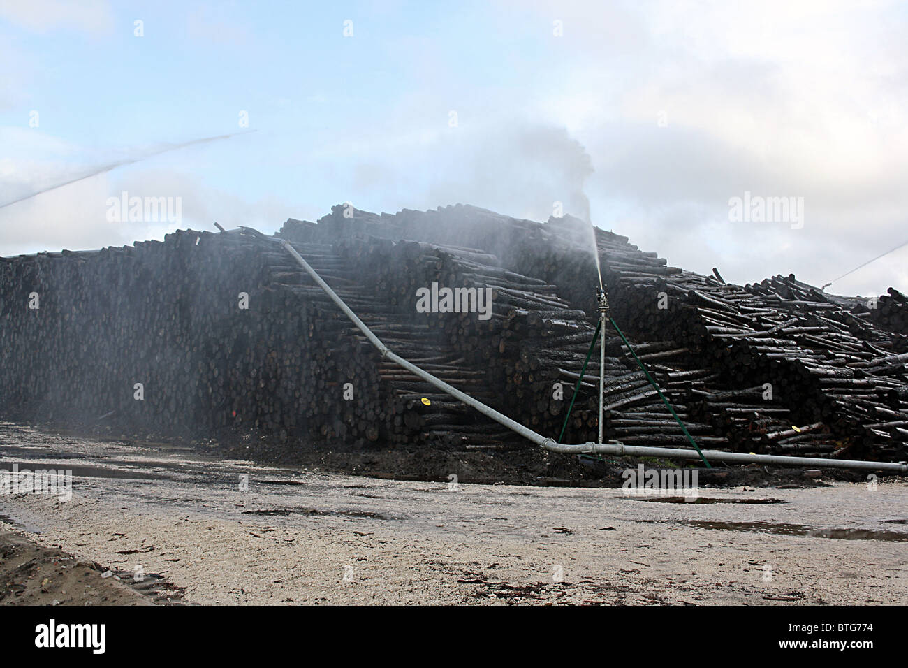 Preventing damage by bugs and fungus hi-res stock photography and ...