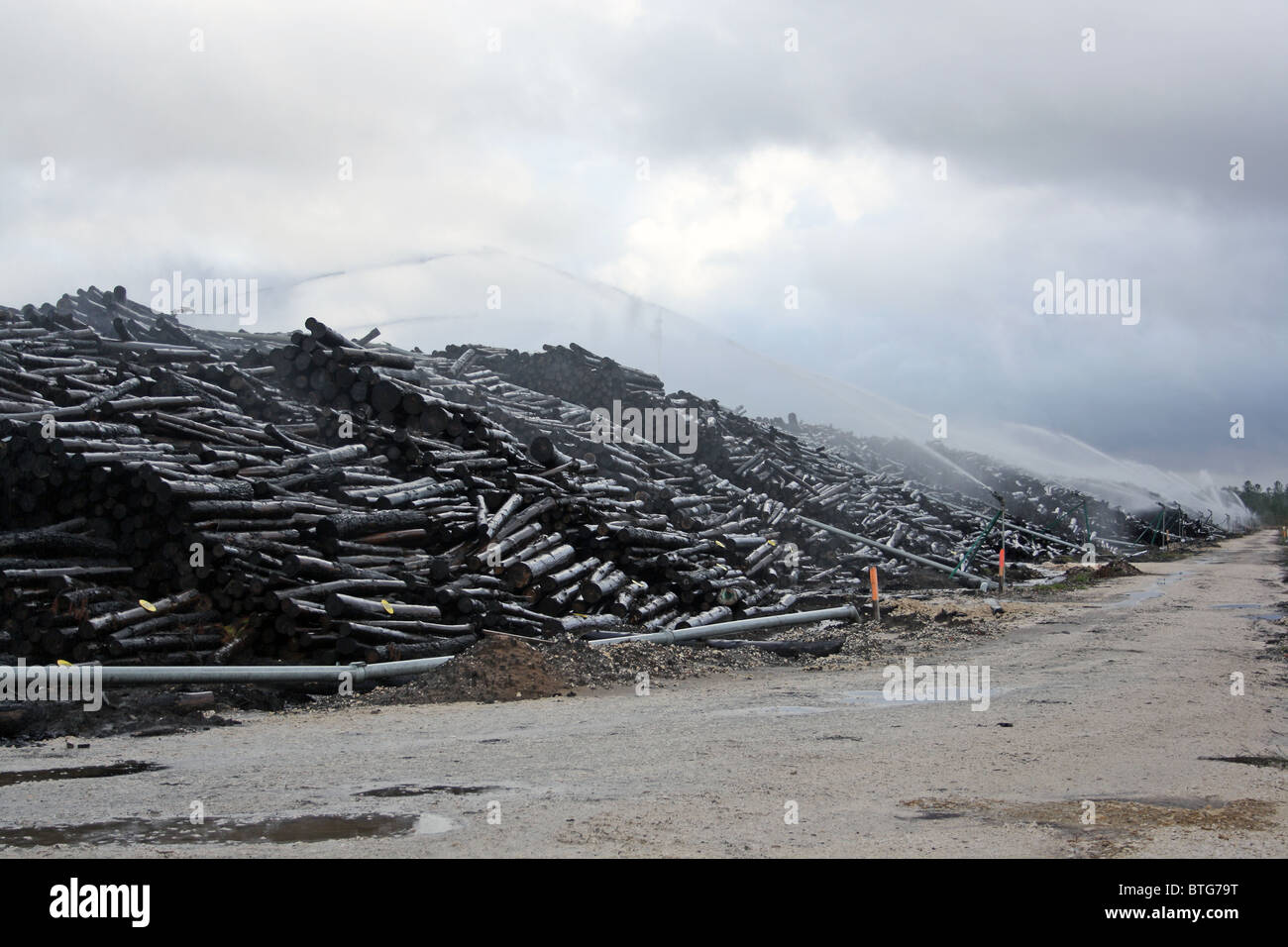 Stacks of storm-devastated timber being sprayed. with water Stock Photo ...