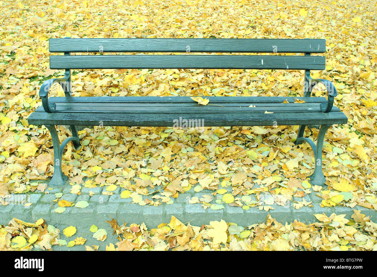 Park bench among fallen yellow autumn leaves Stock Photo - Alamy