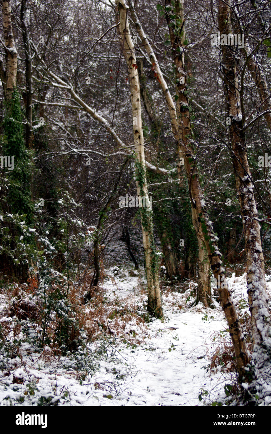 THE COLD PATH Stock Photo - Alamy
