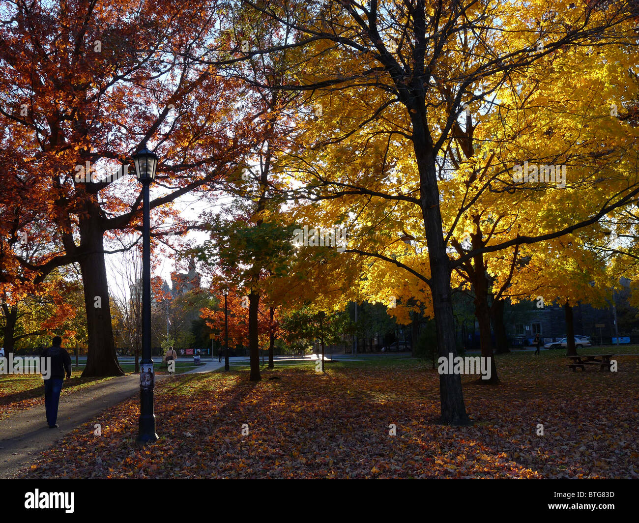 Toronto queens park hi-res stock photography and images - Alamy