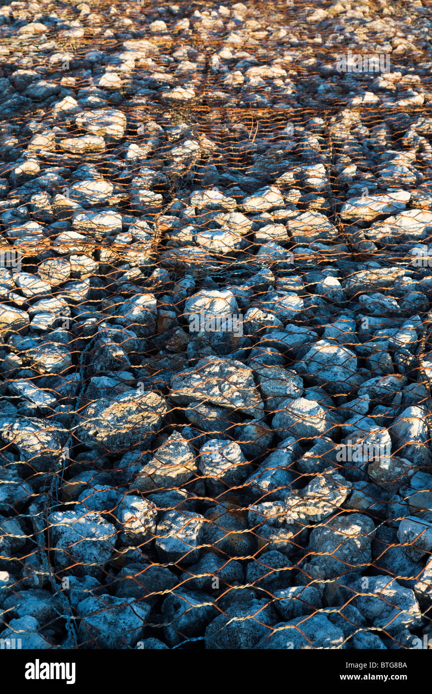 Protected standing stone hi-res stock photography and images - Alamy
