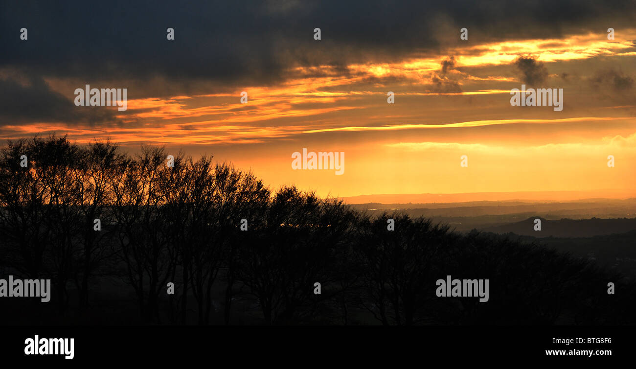 Tree line sunset hi-res stock photography and images - Alamy