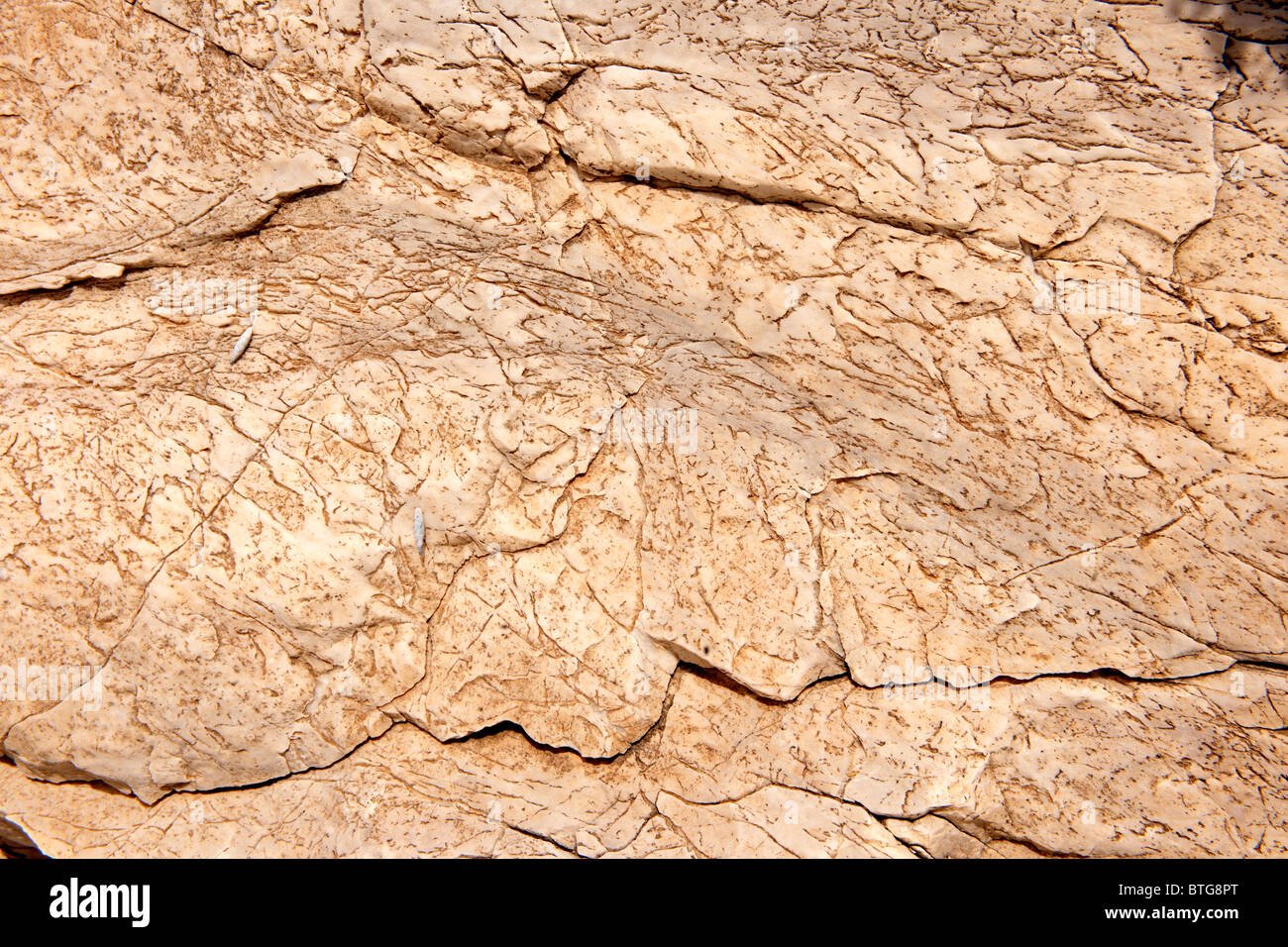 Natural stone texture hi-res stock photography and images - Alamy