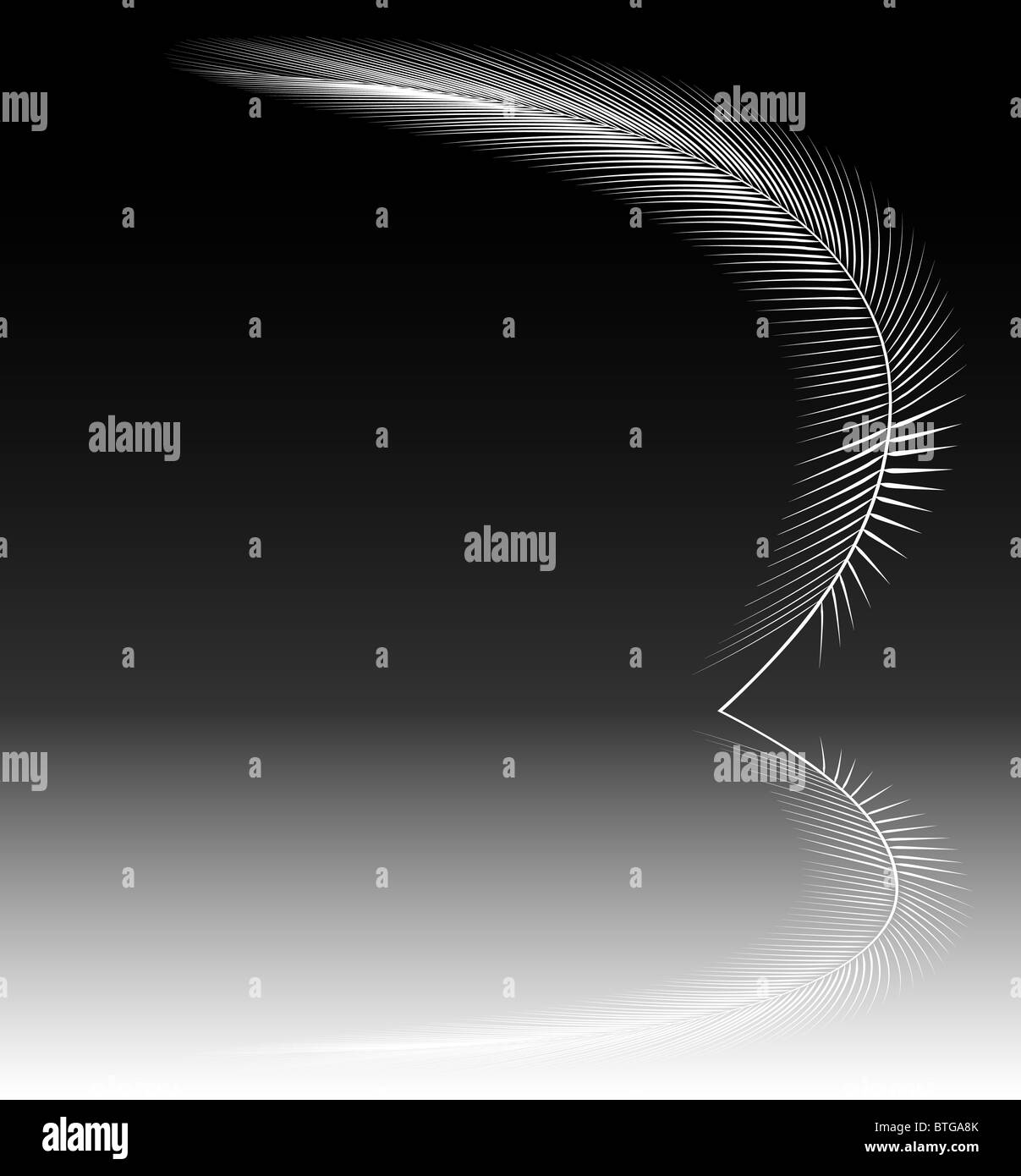 Space to reflect Black and White Stock Photos & Images - Alamy
