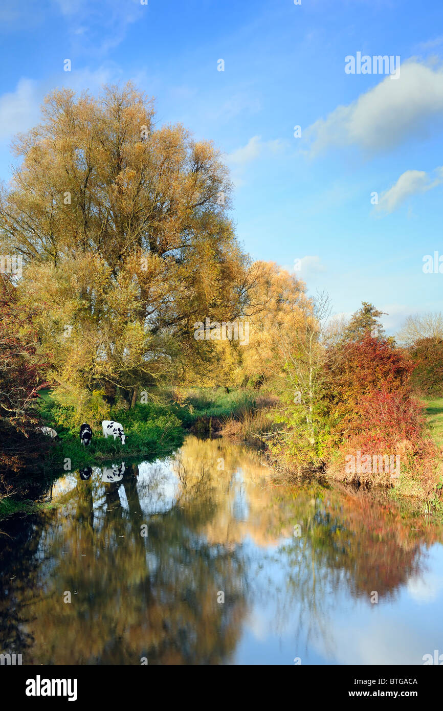 Autumn avon hi-res stock photography and images - Alamy