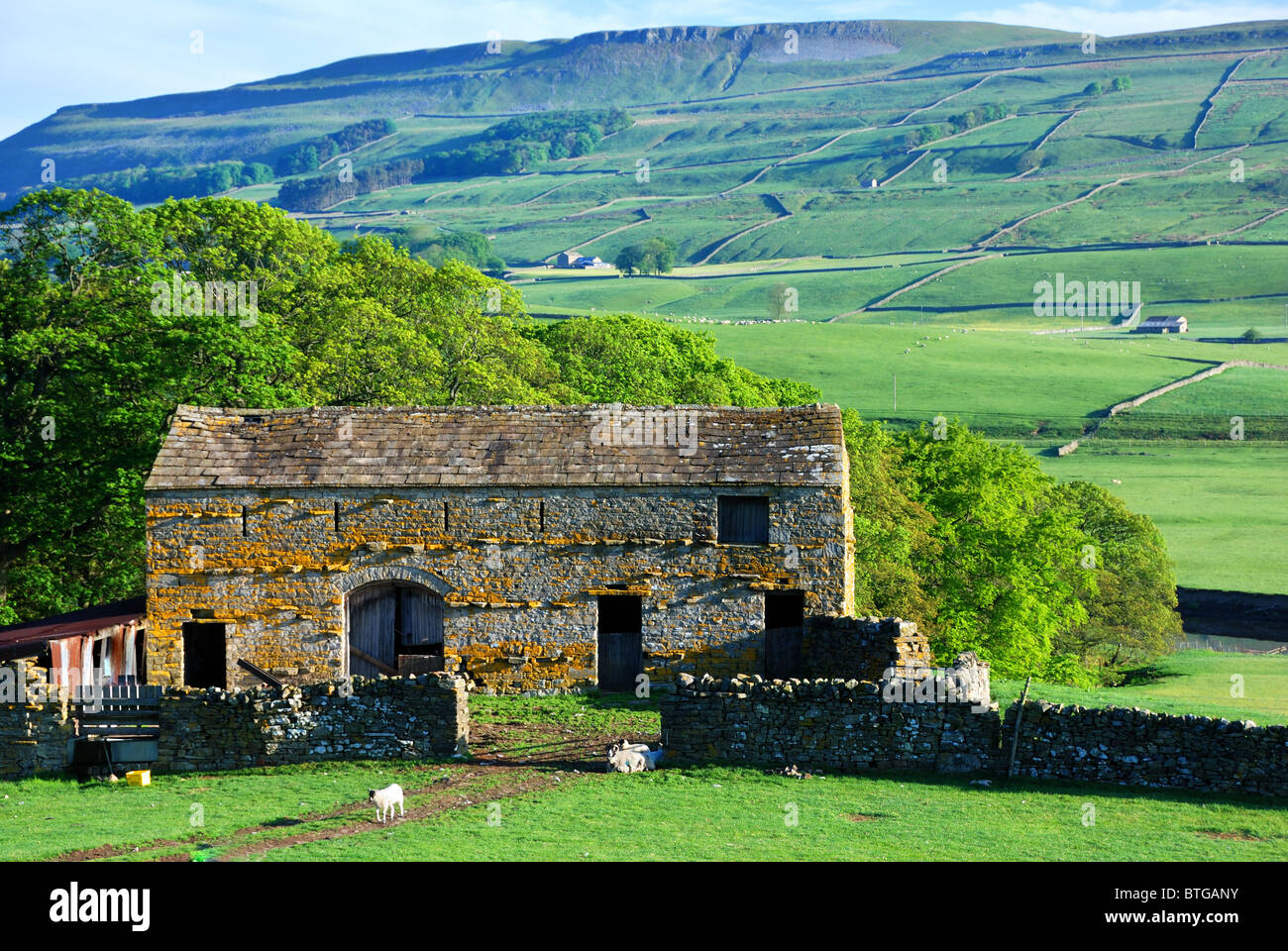 wensleydale barn,north yorkshire Stock Photo - Alamy