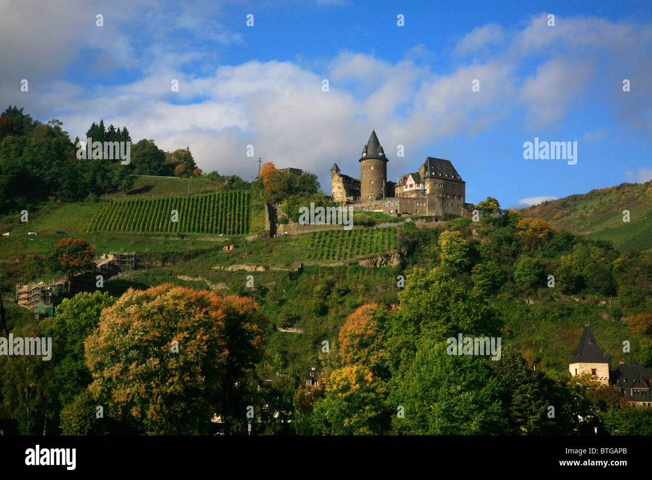 A castle and it's vineyard overlooking the river Rhine, Germany Stock ...