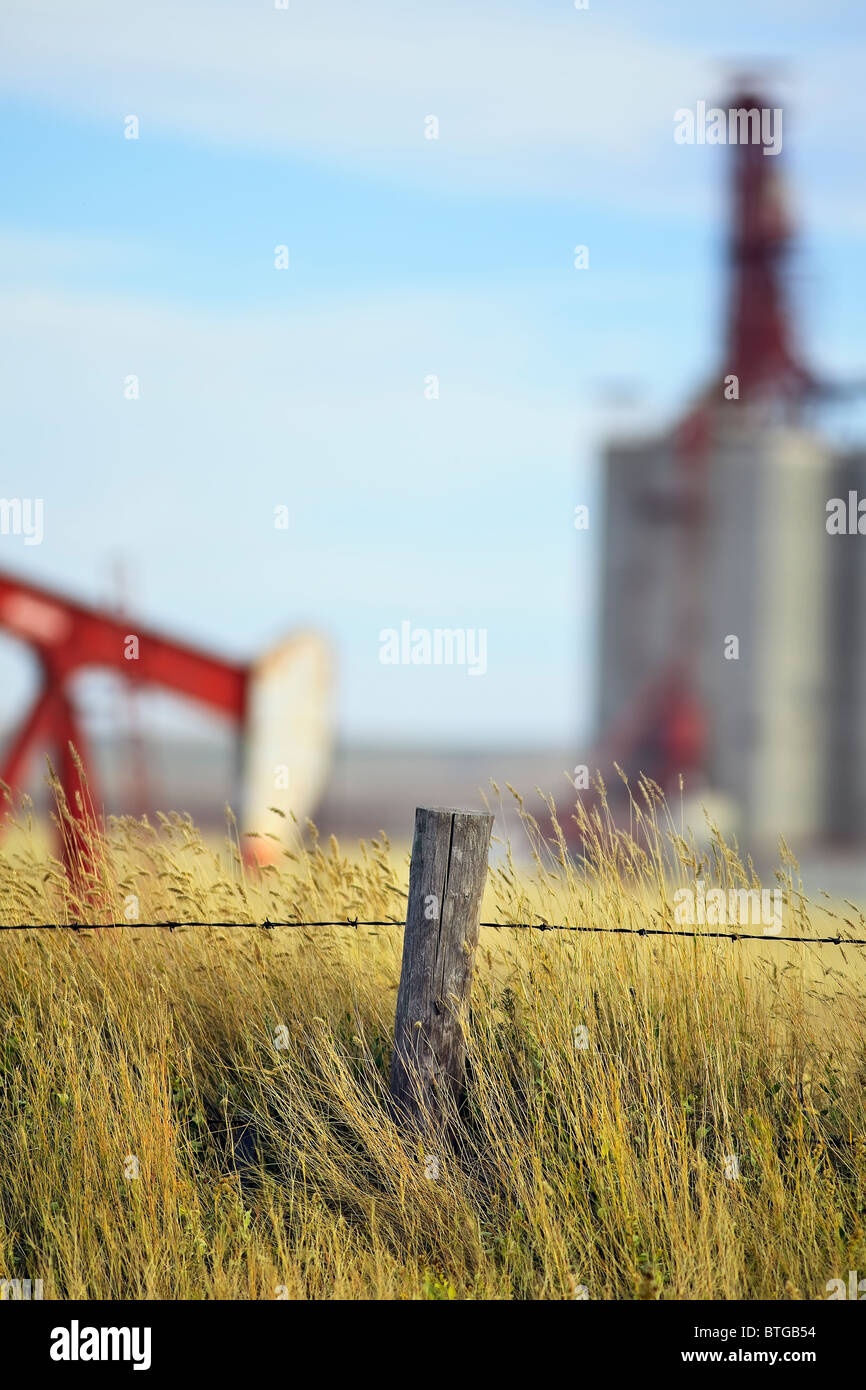 Wheat Field Fence Agricultural High Resolution Stock Photography and ...
