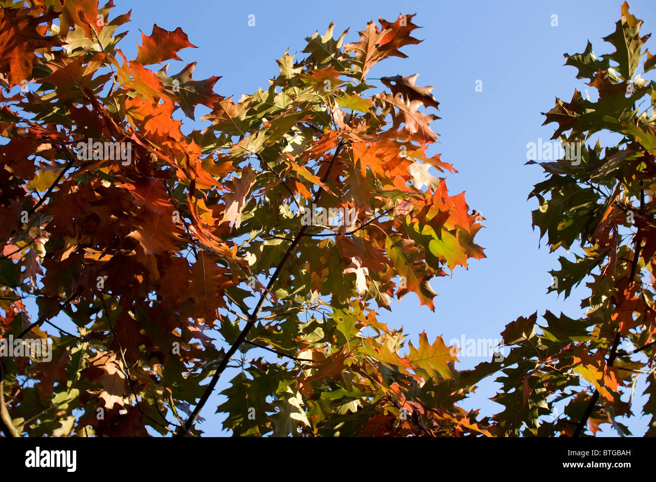 English autumn countryside hi-res stock photography and images - Alamy