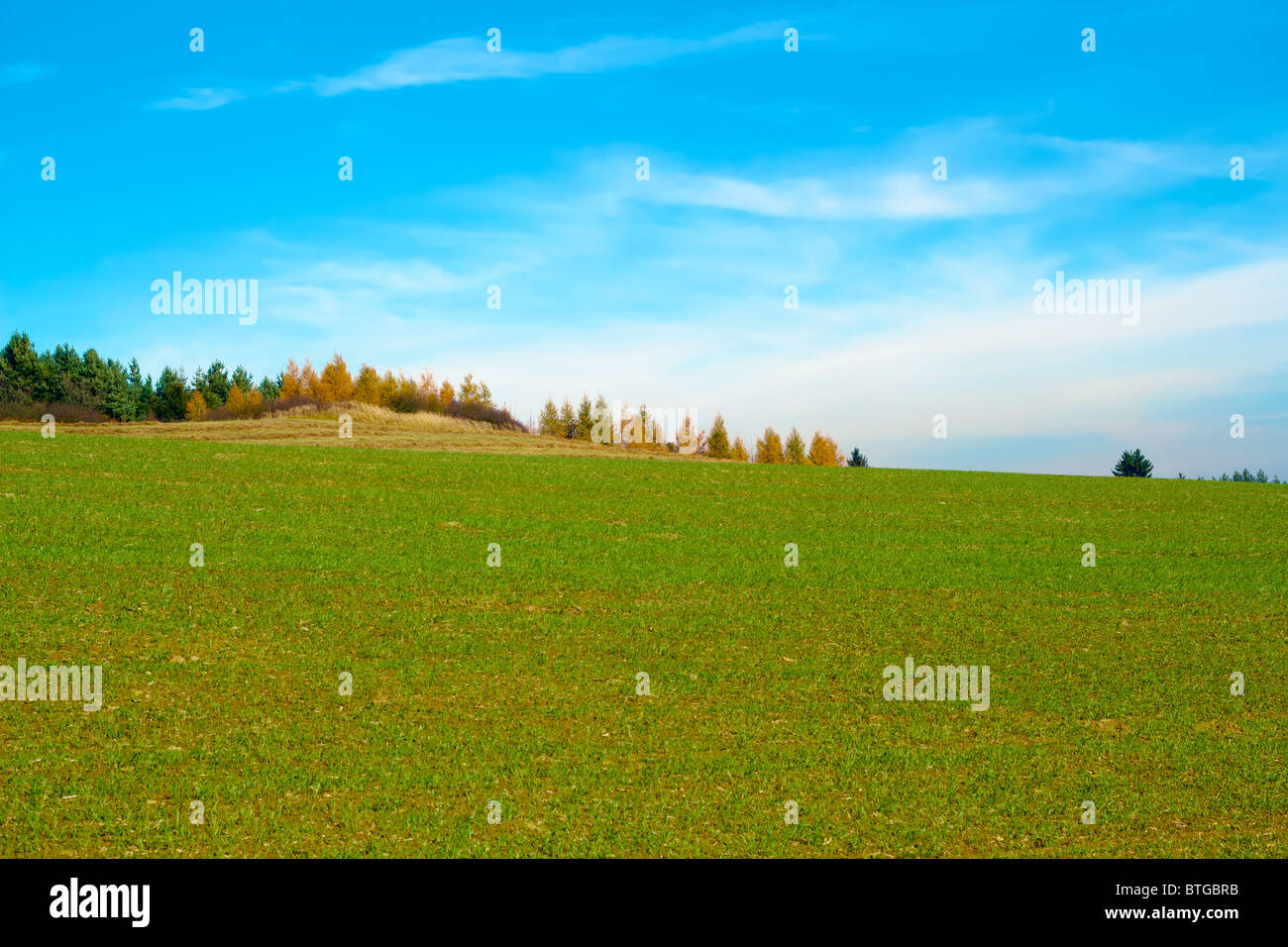 Nice autumn field with blue sky and clouds Stock Photo - Alamy