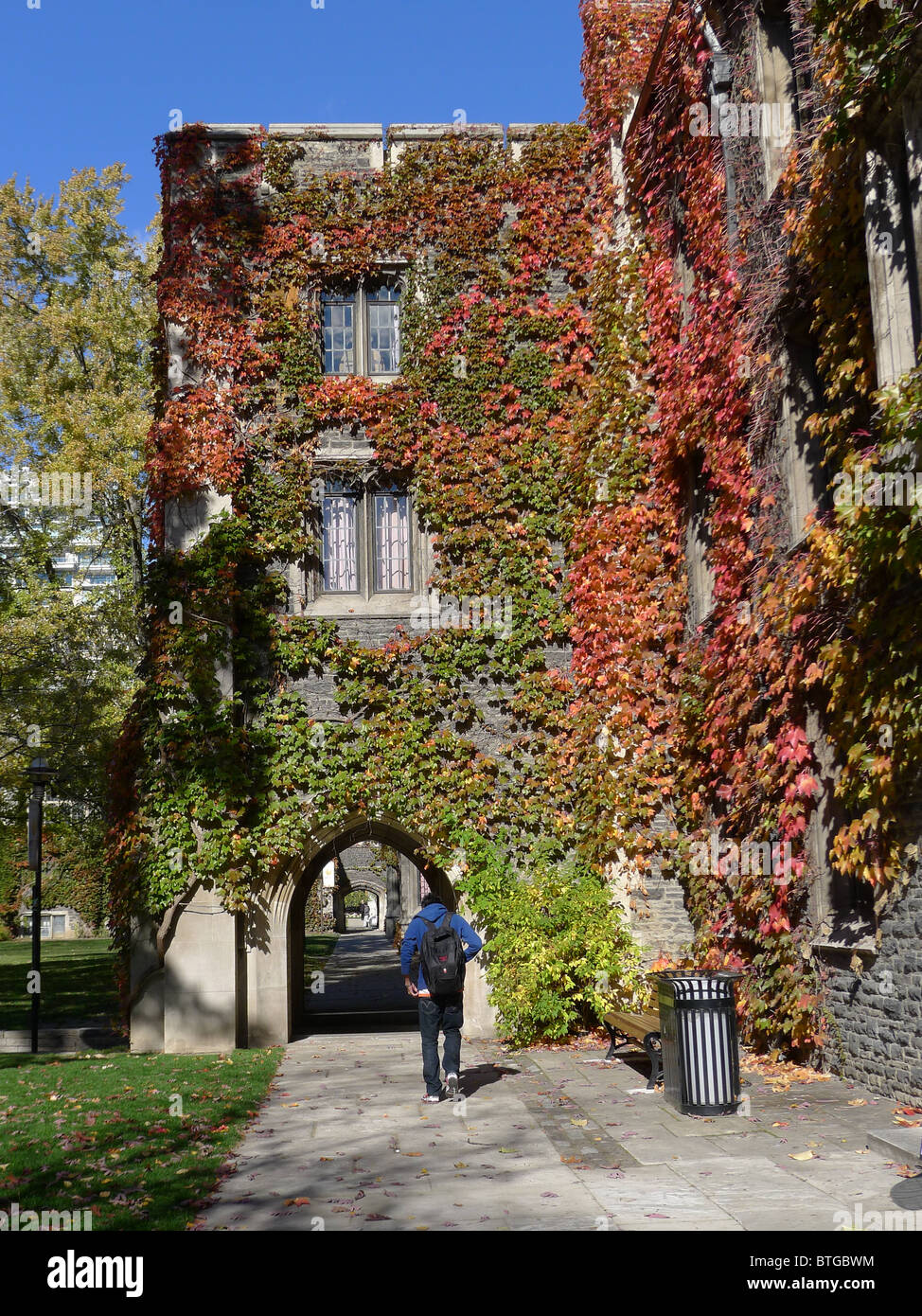 Ivy fall hi-res stock photography and images - Alamy