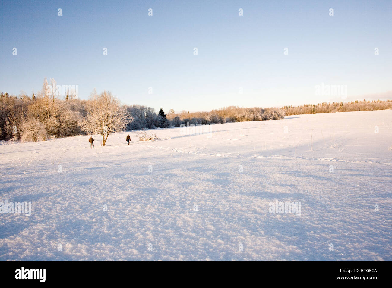 Two people walking, Russian countryside, winter Stock Photo - Alamy