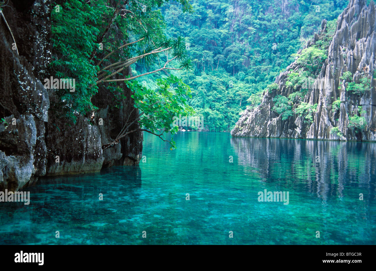 A lagoon of limpid and clear water pockmarked in the coast of Coron ...