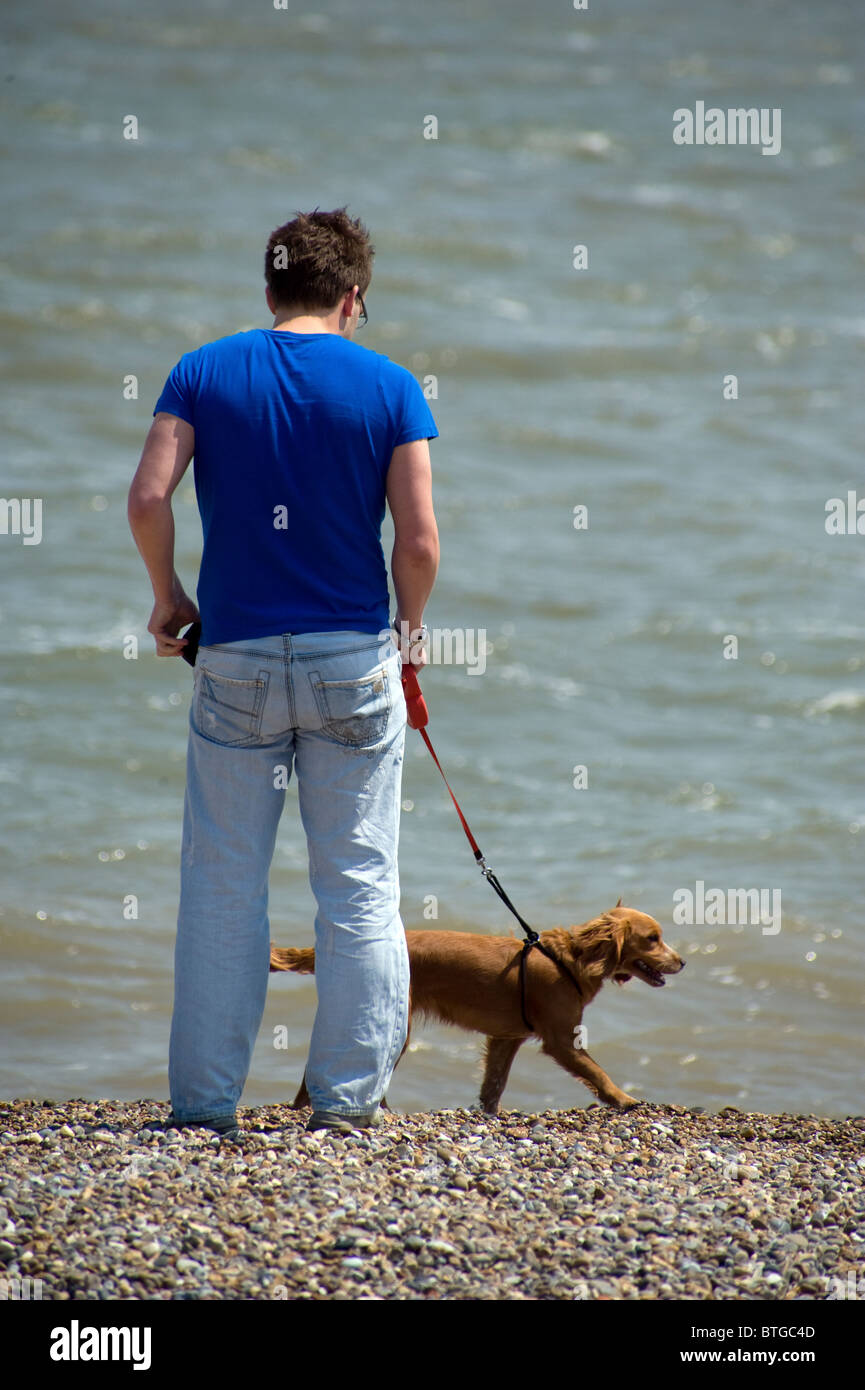 young man with cocker spaniel Stock Photo - Alamy