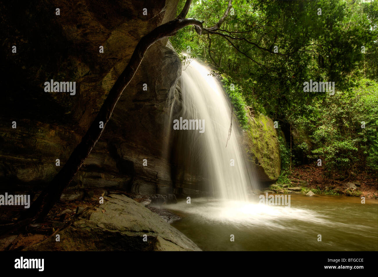 Idyllic waterfall in Queensland, Australia Stock Photo - Alamy