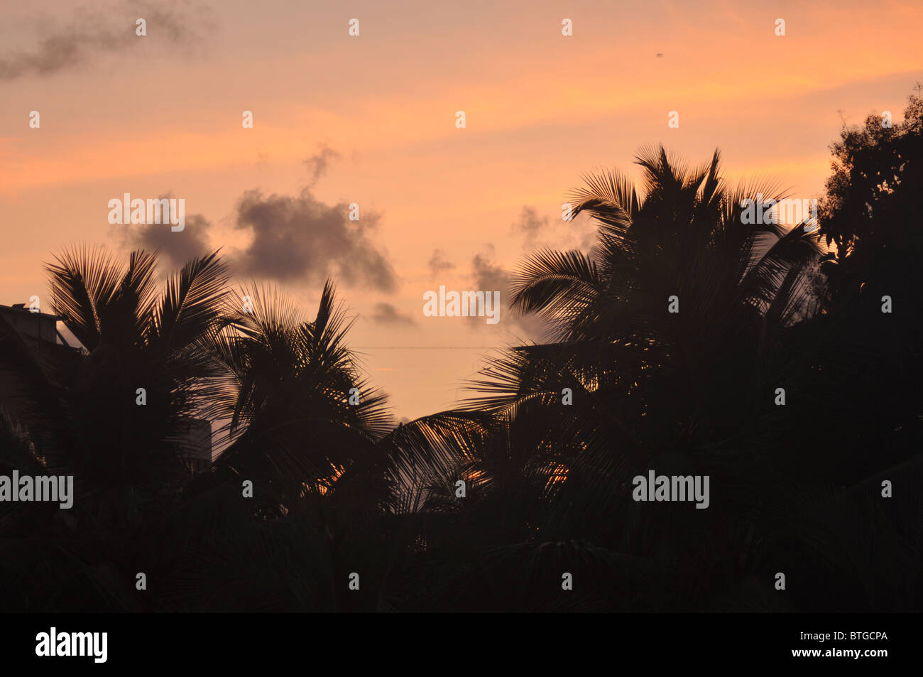 Countryside of kerala hi-res stock photography and images - Alamy