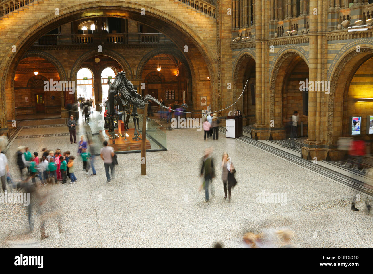 Natural History Museum main hall busy with tourists and visitors Stock ...