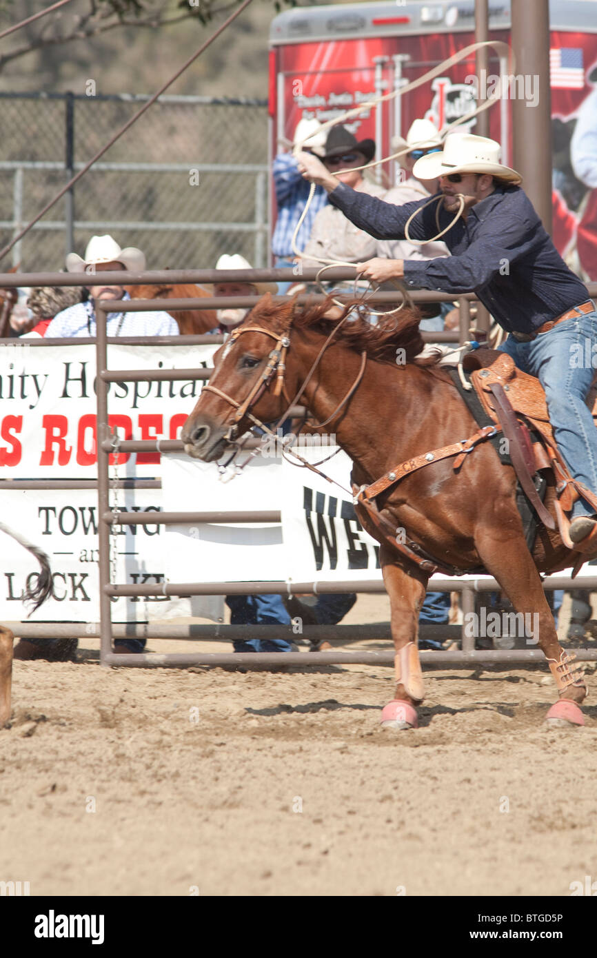 Cowboy calf roping rodeo event hi-res stock photography and images - Alamy
