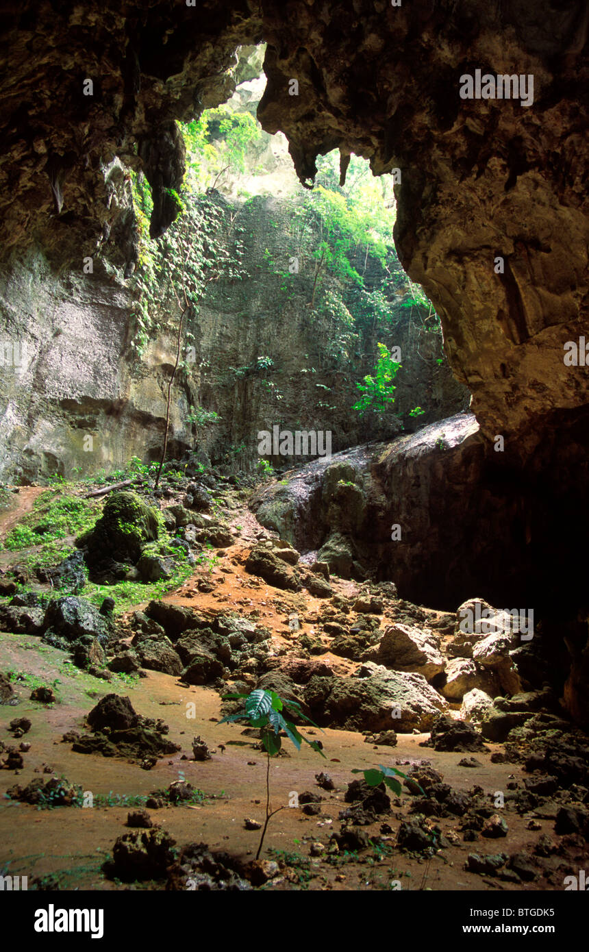 Tabon hi-res stock photography and images - Alamy