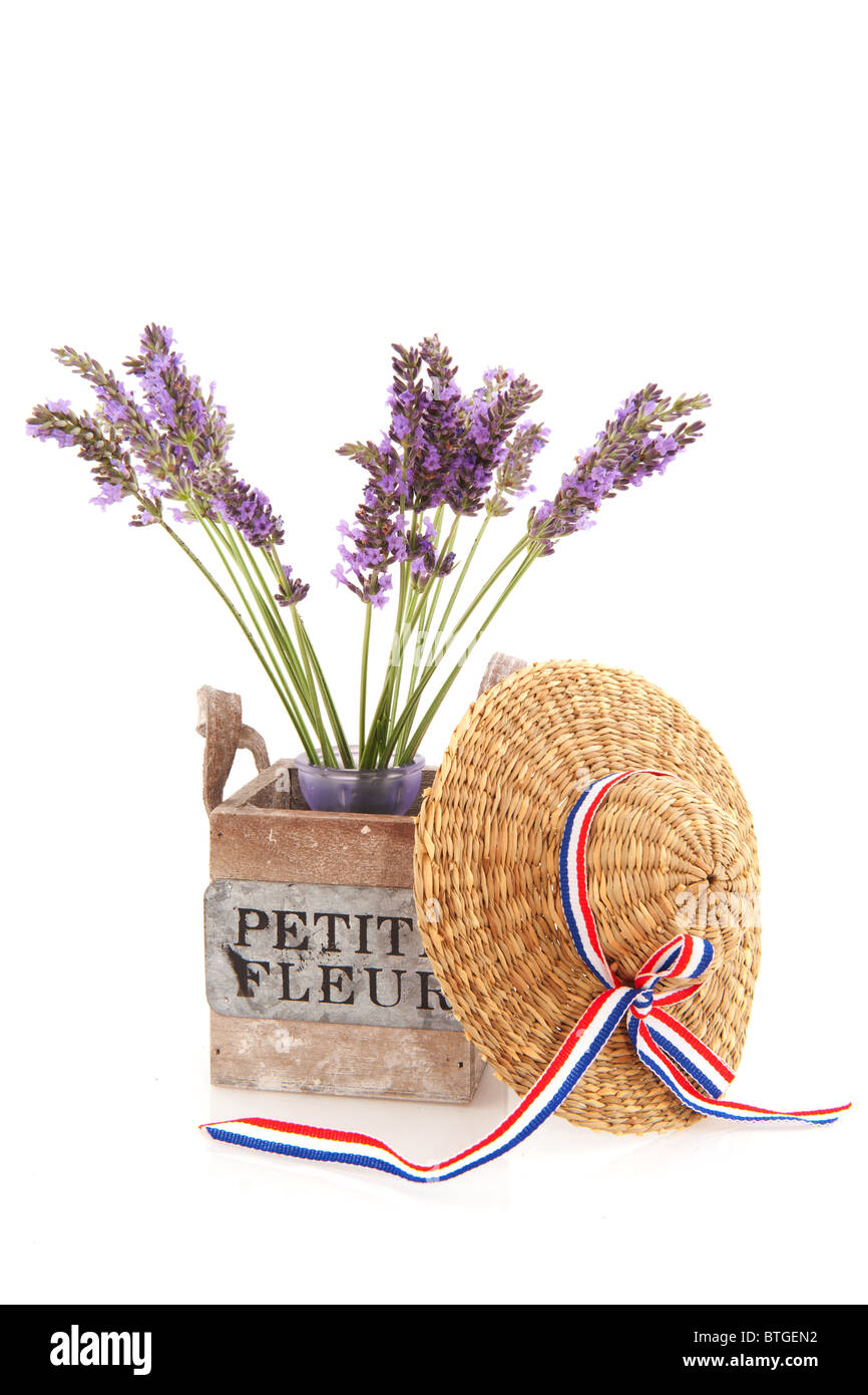 Lavender in French summer Stock Photo - Alamy