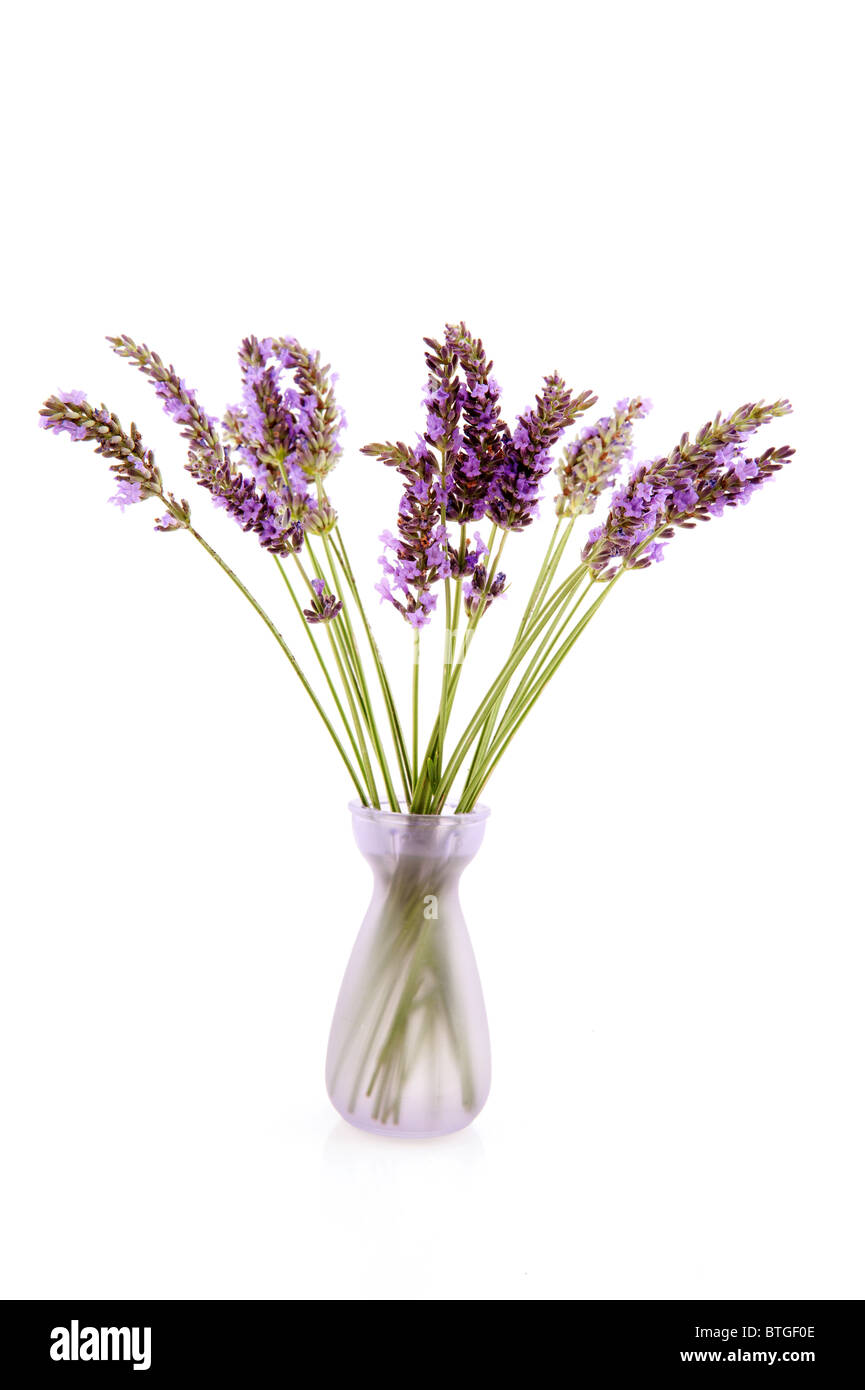Little glass vase with purple Lavender isolated over white Stock Photo ...