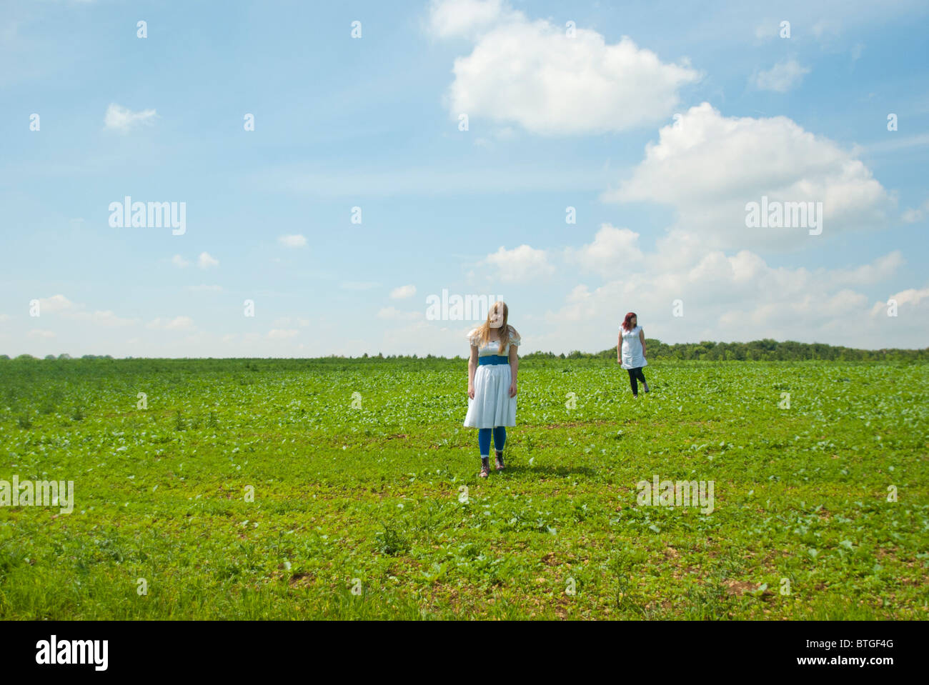 In the Fields Stock Photo - Alamy