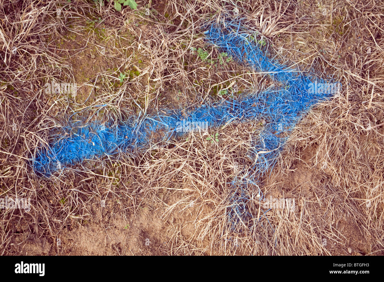 Blue direction arrow pointer painted brown grass Stock Photo - Alamy