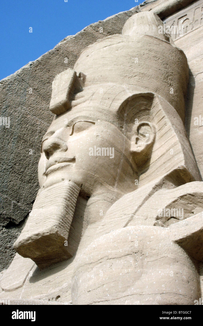 Ben Ari Chameleons High Resolution Stock Photography and Images - Alamy