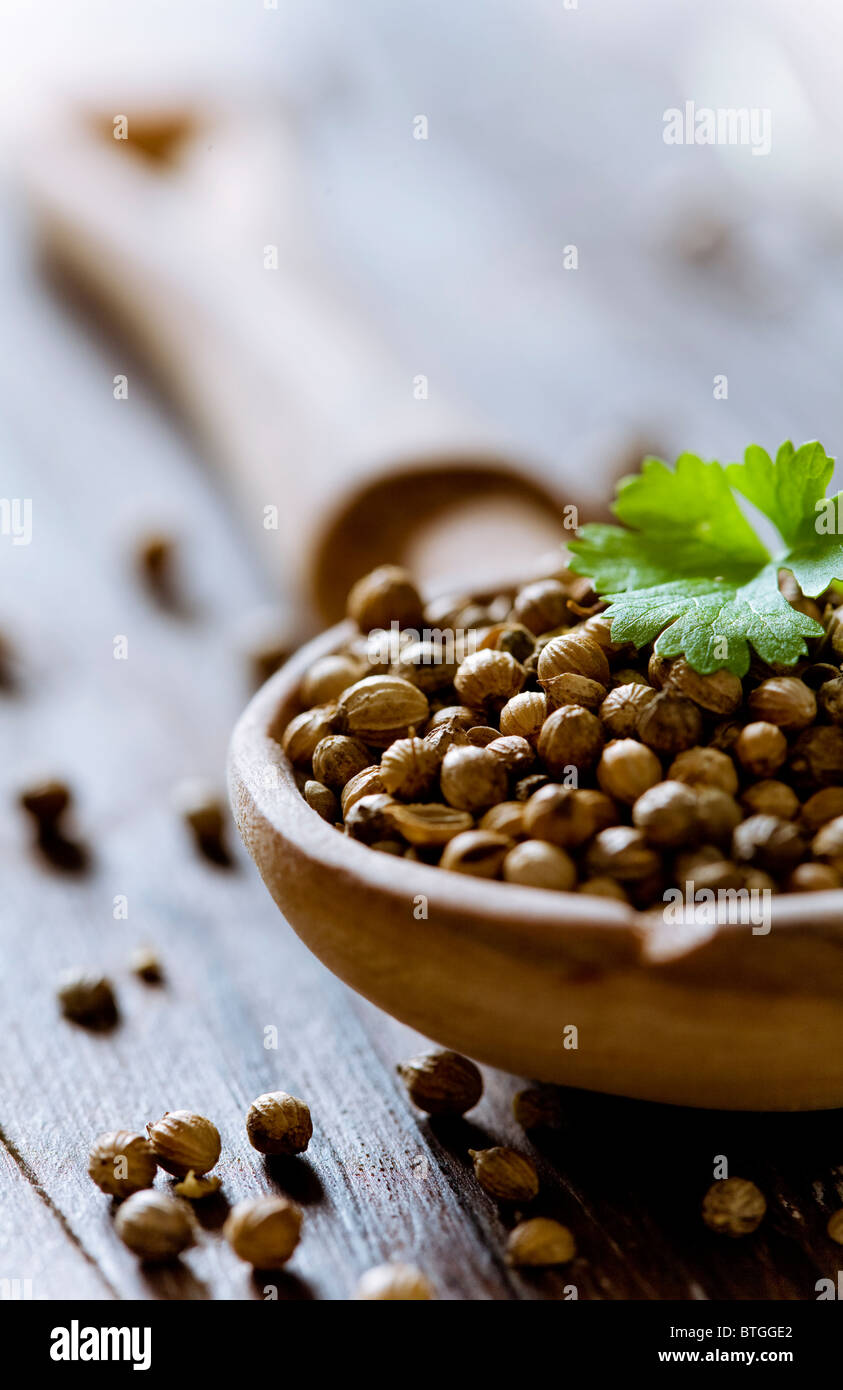 Seeed hi-res stock photography and images - Alamy