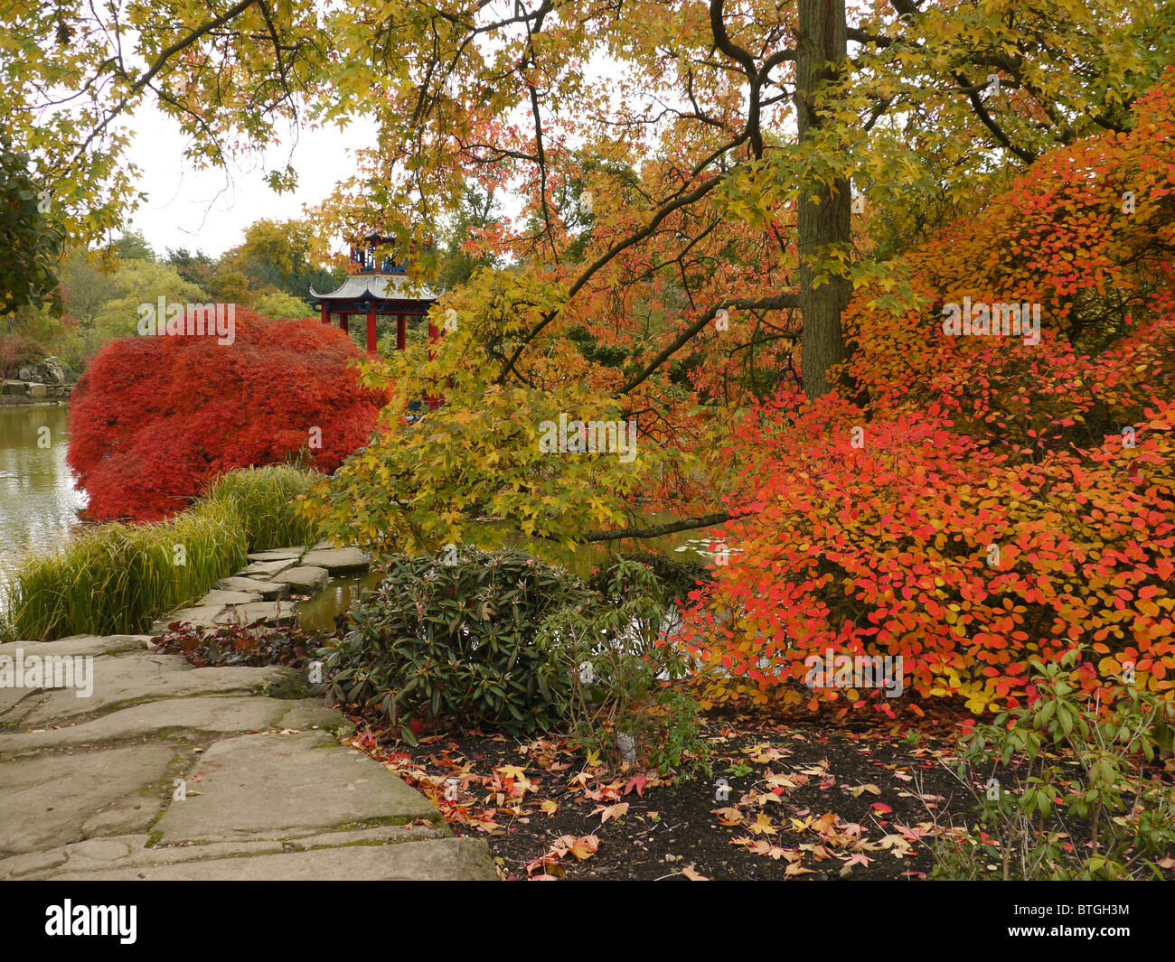 Under maple tree hi-res stock photography and images - Alamy