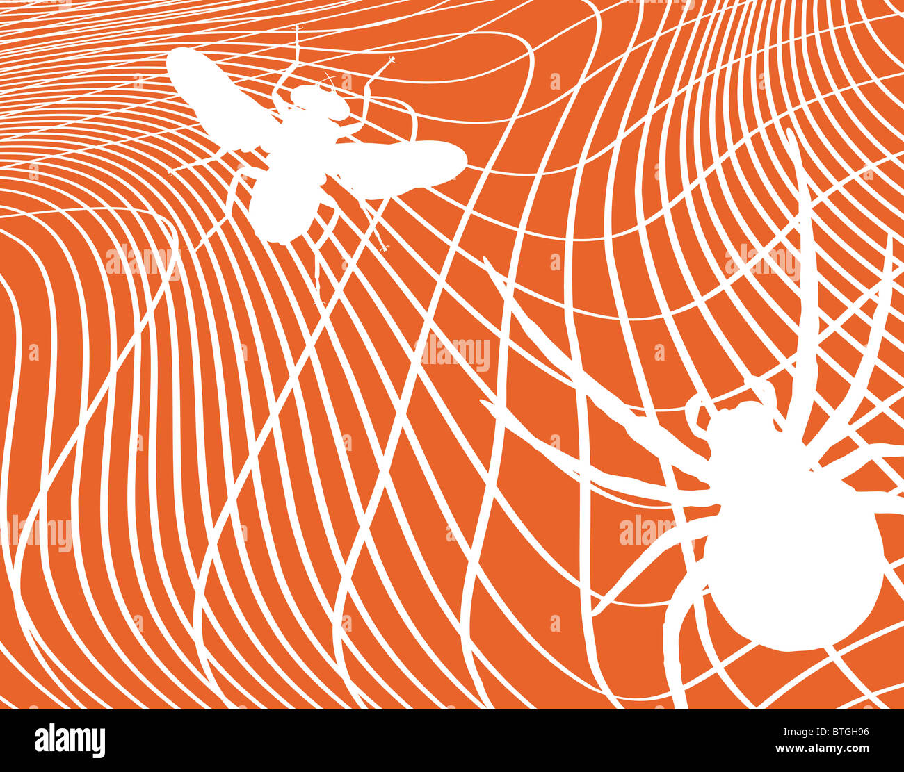 Illustration of a fly trapped in a spider's web Stock Photo - Alamy