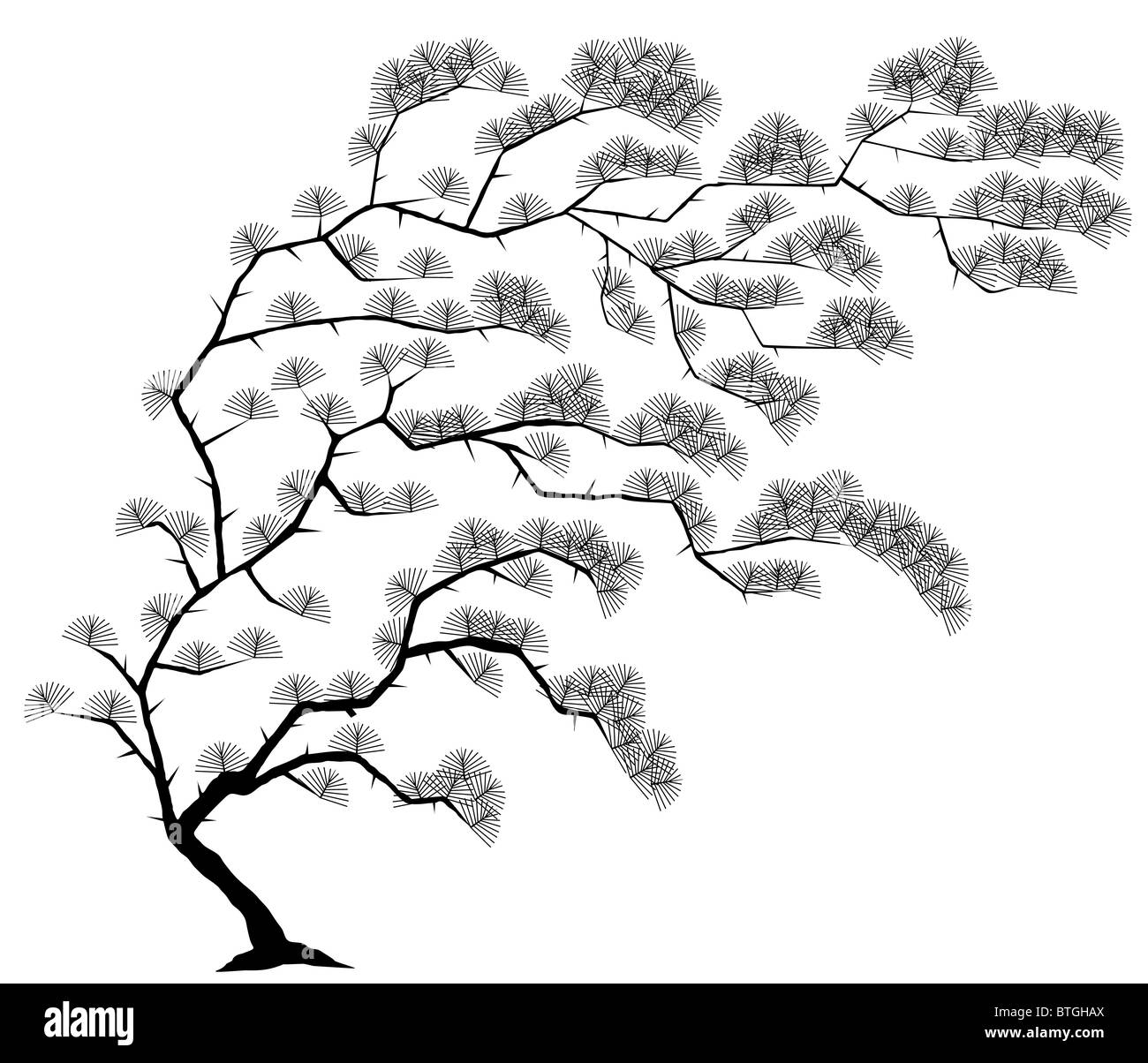 Illustration of a windblown tree Stock Photo - Alamy