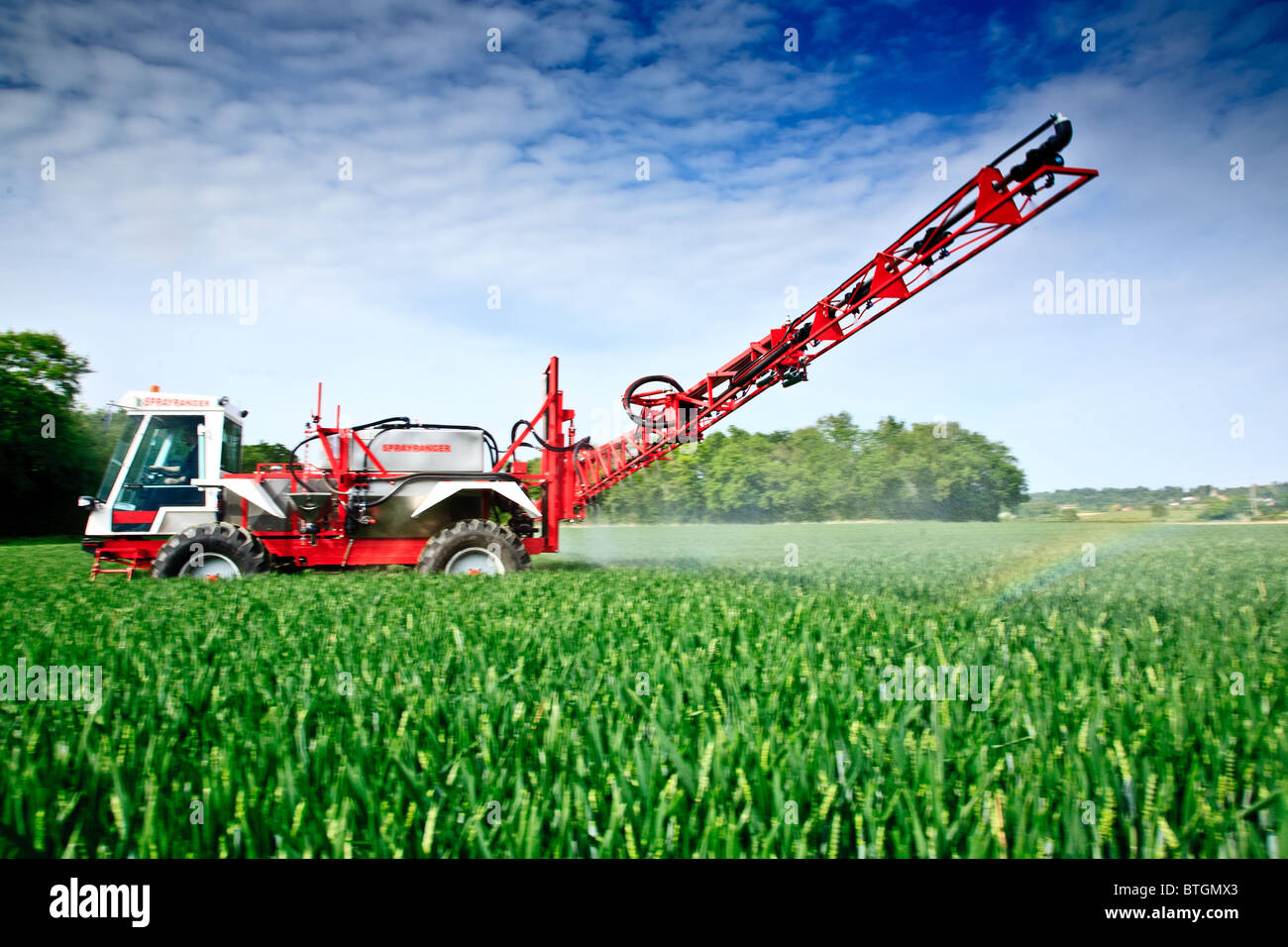 Spraying wheat in spring time Stock Photo - Alamy