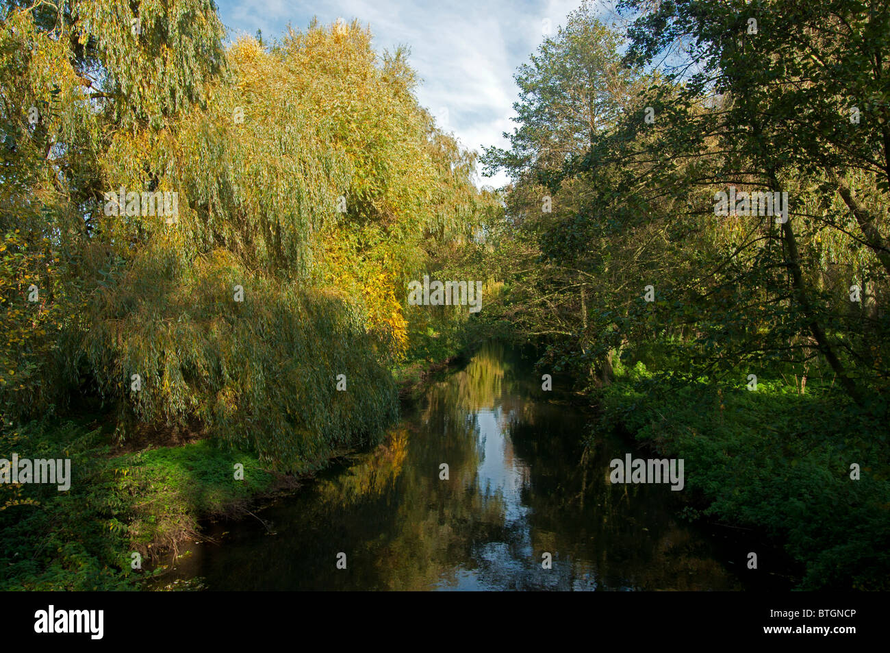 River stour Westgate Gardens Canterbury Kent england UK Stock Photo - Alamy