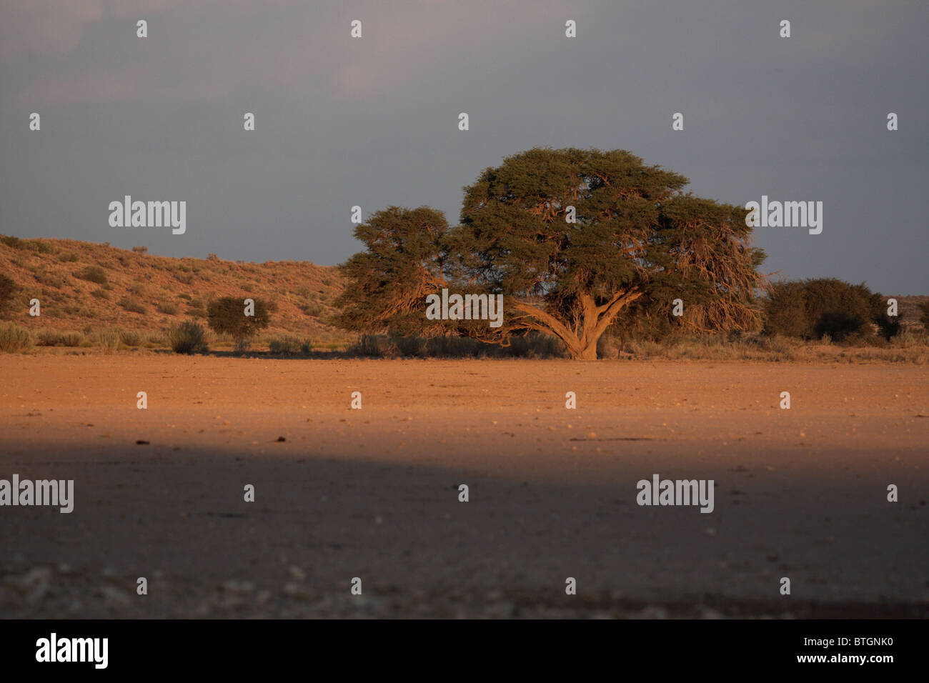 Twee revieren hi-res stock photography and images - Alamy