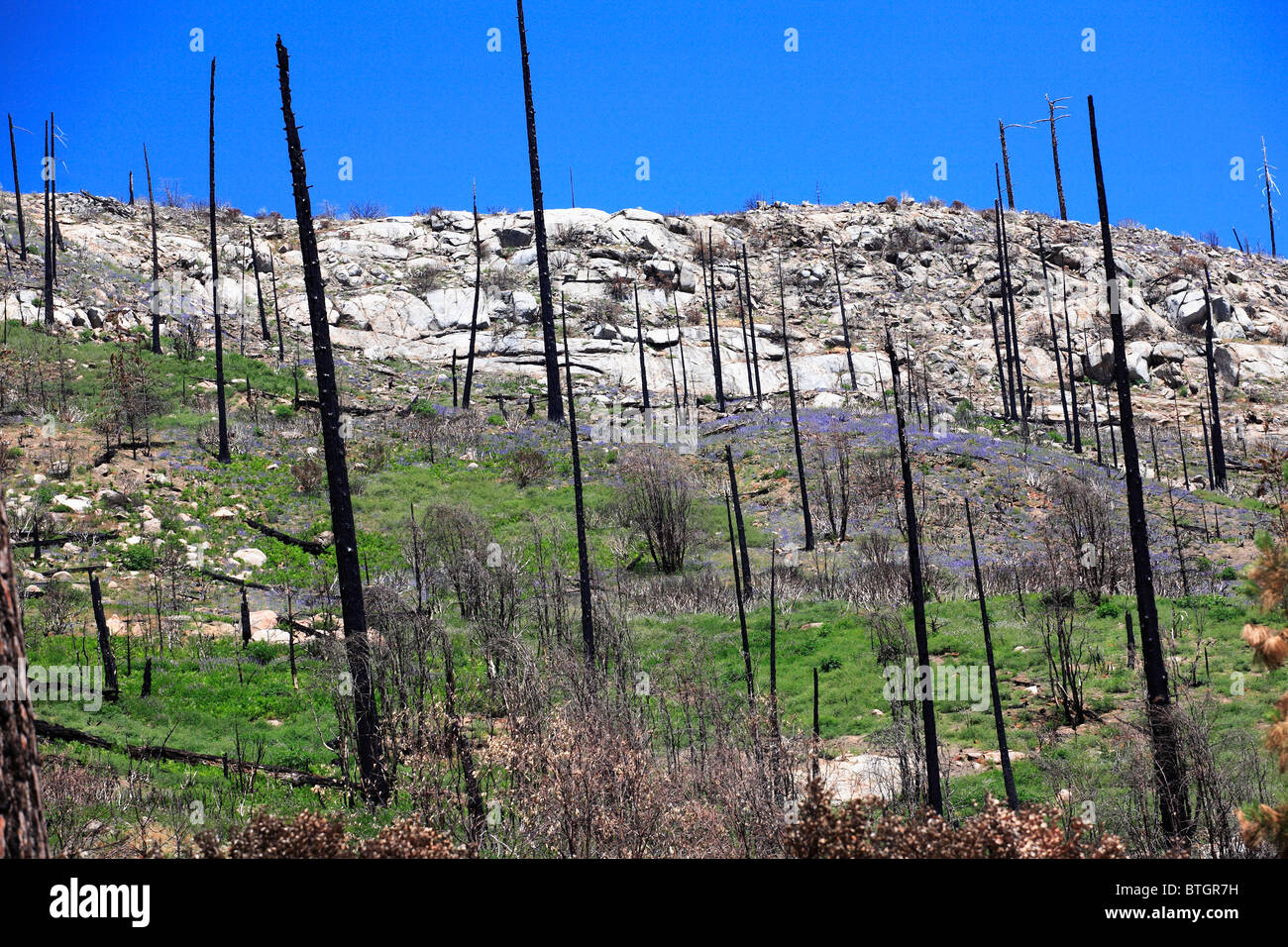 Fire damage hi-res stock photography and images - Alamy