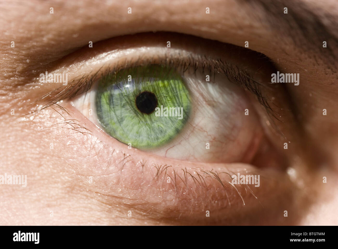 Photo of a human eye close up Stock Photo - Alamy