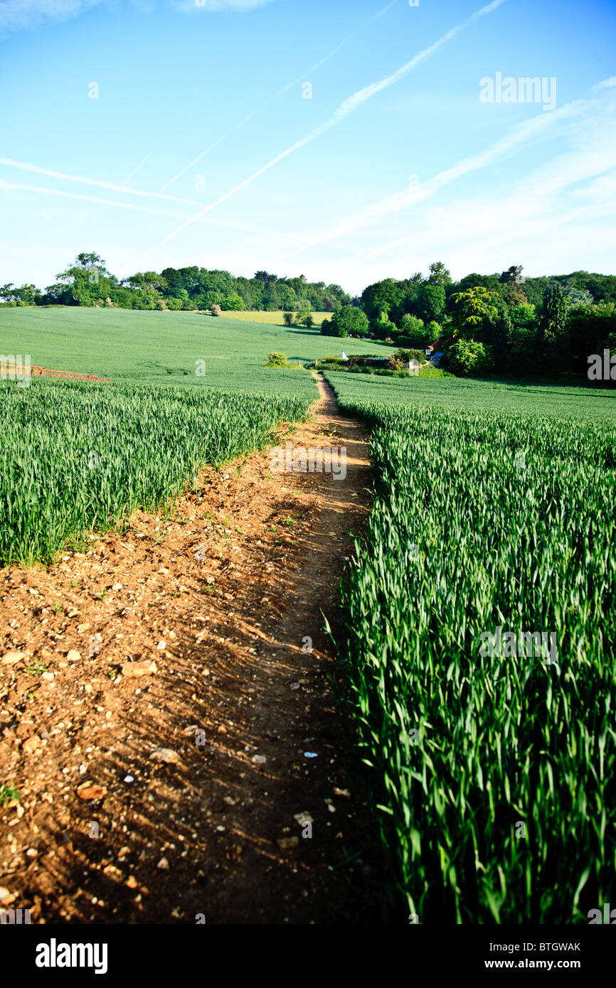 Farm field footpath hi-res stock photography and images - Alamy