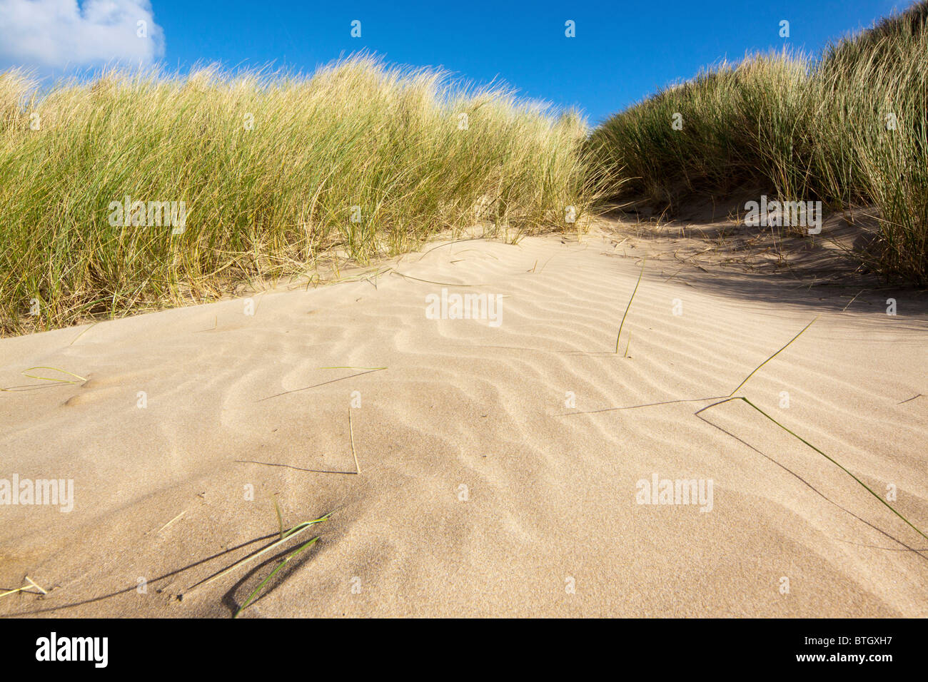 Sand dunes on a beach sunny day. Instow Devon UK Stock Photo - Alamy
