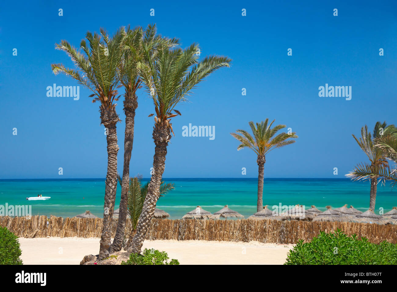 Landscape umbrella palm trees hi-res stock photography and images - Alamy