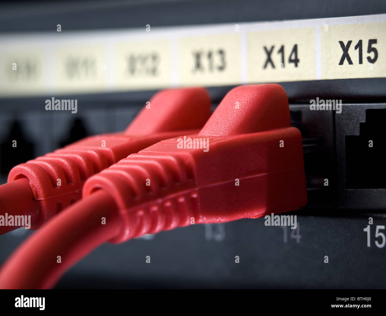 closeup shot of network cables plugged into the switch sockets ...