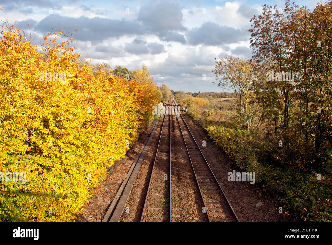 Train track fall leaf hi-res stock photography and images - Alamy