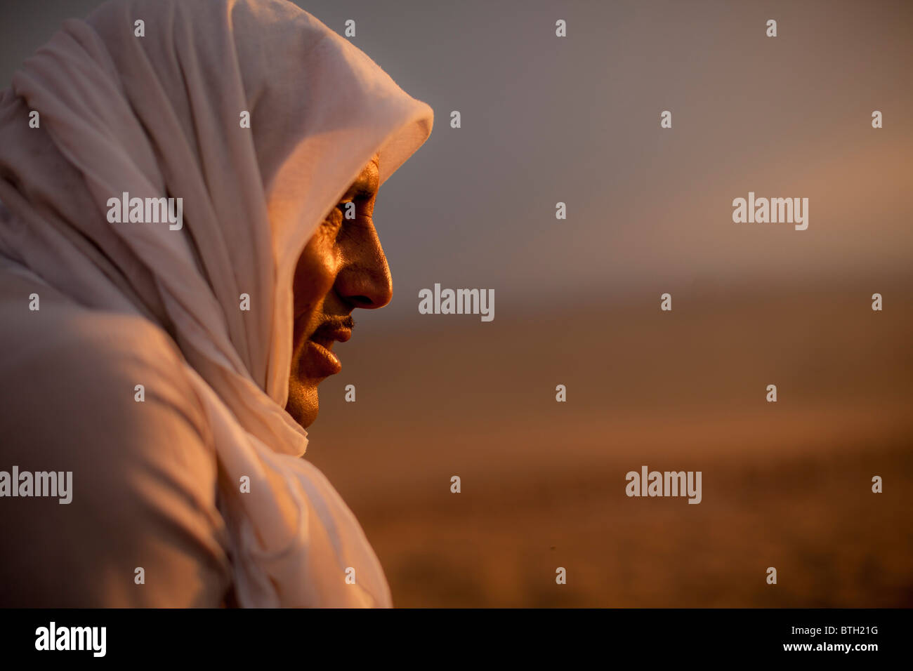 Camel guide hi-res stock photography and images - Alamy