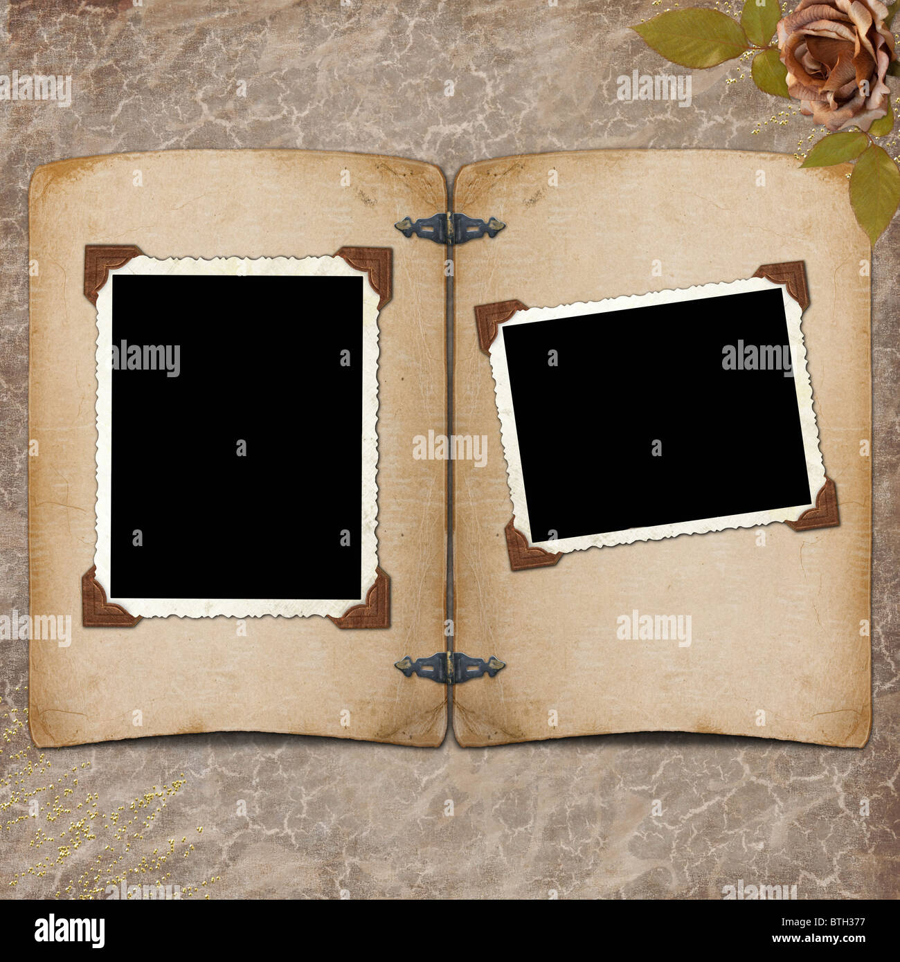 Family photos frame album hi-res stock photography and images - Alamy